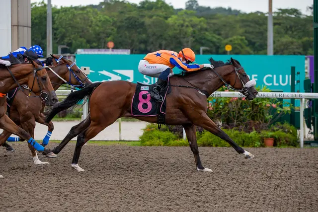 8 Win Saturday - A Singapore Double | News - Te Akau Racing