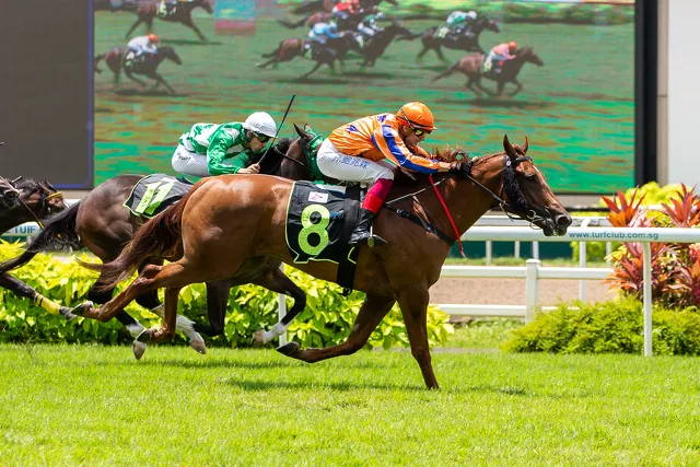 Te Akau Singapore Saturday Preview | News - Te Akau Racing