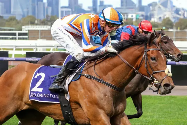 Te Akau Season of Success - Bellatrix Star Shines Bright | News - Te ...