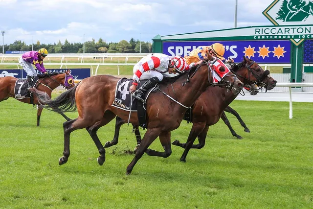 Riccarton Double - Hooray! Harry Wins | News - Te Akau Racing