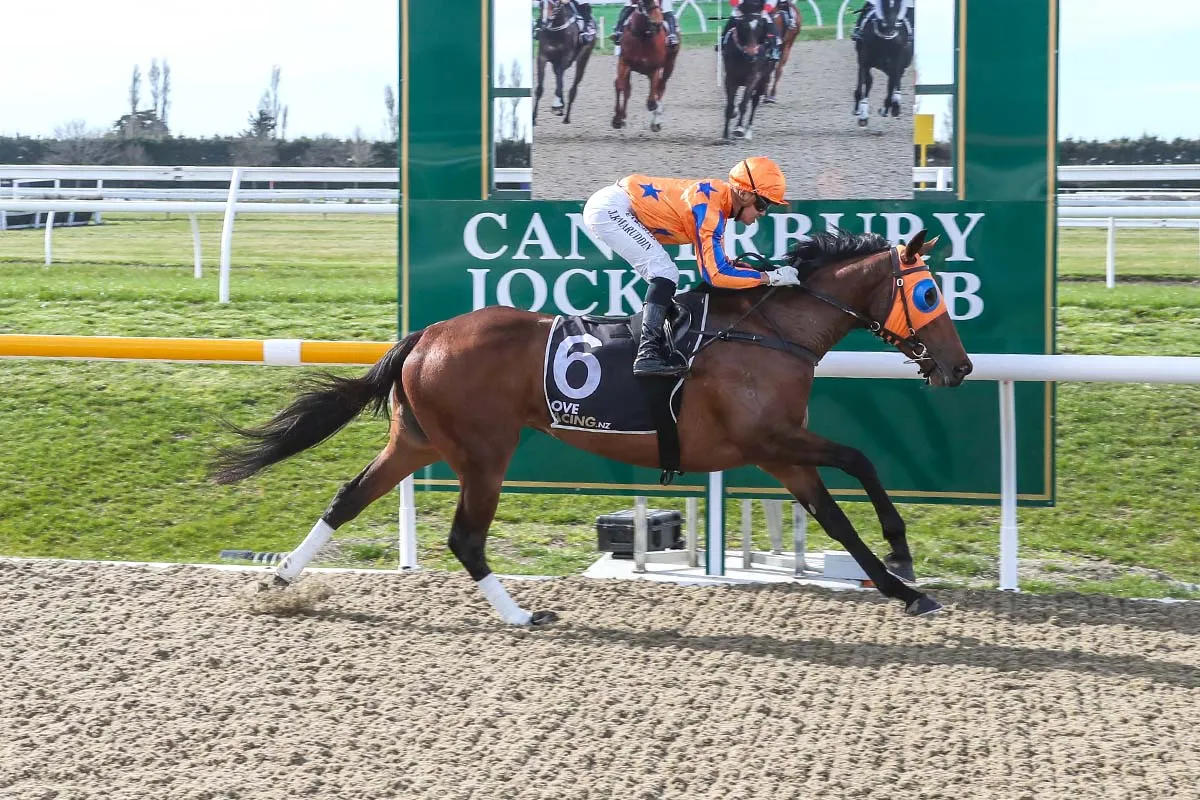 Recent Winner - Te Akau Racing