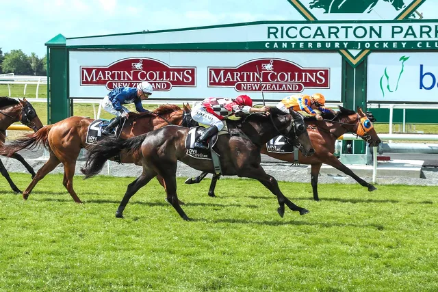 Illicit Miss Lays Down the Law | News - Te Akau Racing