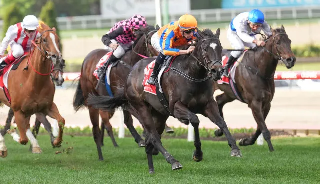 Valley Queen Ready to Rule | News - Te Akau Racing