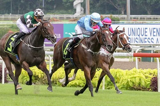 January Scores for Te Akau Singapore | News - Te Akau Racing