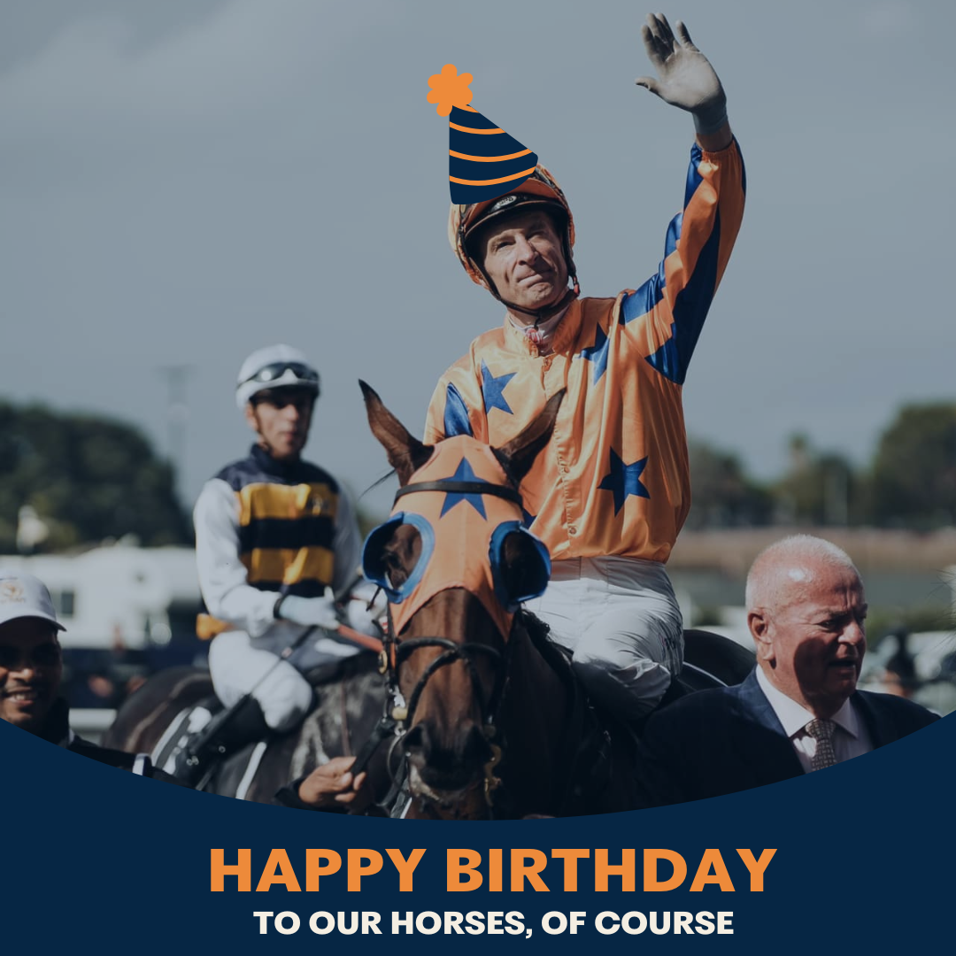 Happy Birthday To Our Horses! | News - Te Akau Racing