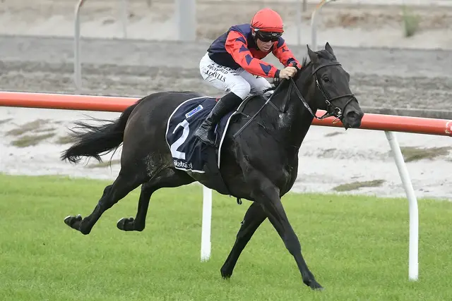 A Very Hasty Win | News - Te Akau Racing