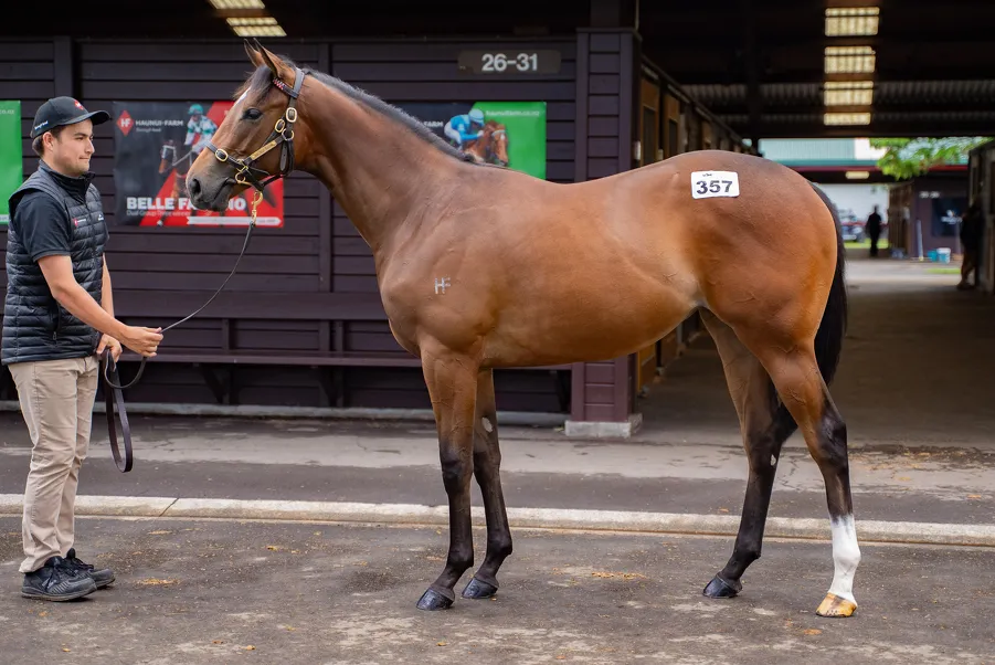 Lot 357 Proisir (AUS) ‐ Colerne (AUS) Bay Filly | Yearlings & Shares ...