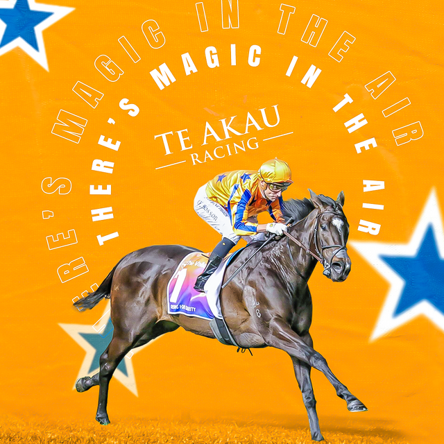 Magic Millions Live Stream - Imperatriz Sale Spotlight | News - Te Akau ...