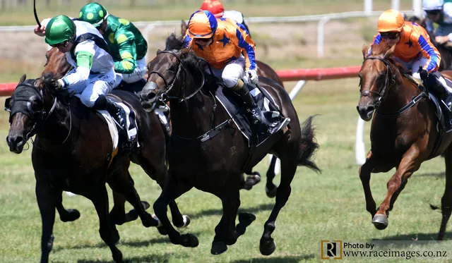 Te Akau Tauranga Friday Preview | News - Te Akau Racing