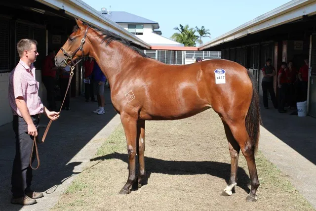 Te Akau Strikes Early | News - Te Akau Racing