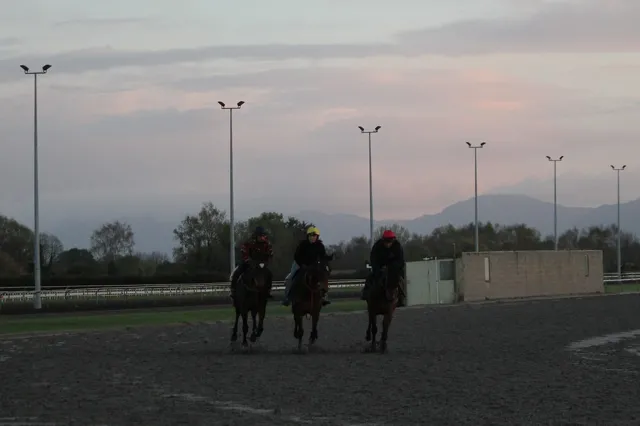 Te Akau NZ & Singapore Tuesday Trackwork | News - Te Akau Racing