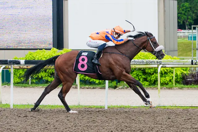 Te Akau Singapore - Another Weekend, Another Double | News - Te Akau Racing