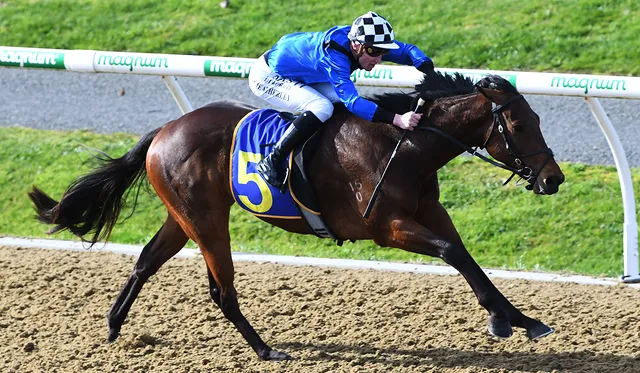 Cambridge Double - Pokuru Gold Shines on Debut | News - Te Akau Racing