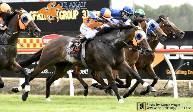 Te Akau Waikato Wednesday Preview | News - Te Akau Racing