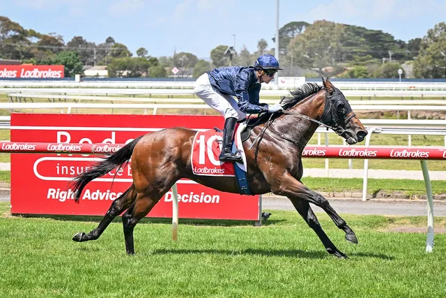 Trans-Tasman Double - Tower Bridge Impressive | News - Te Akau Racing