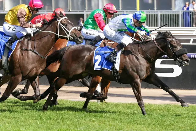 Te Akau Season - Stakes' Win 11 of 30 - Australia No.4 | News - Te Akau ...