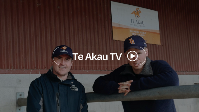 Te Akau TV - Group 1 Racing Is Back | News - Te Akau Racing