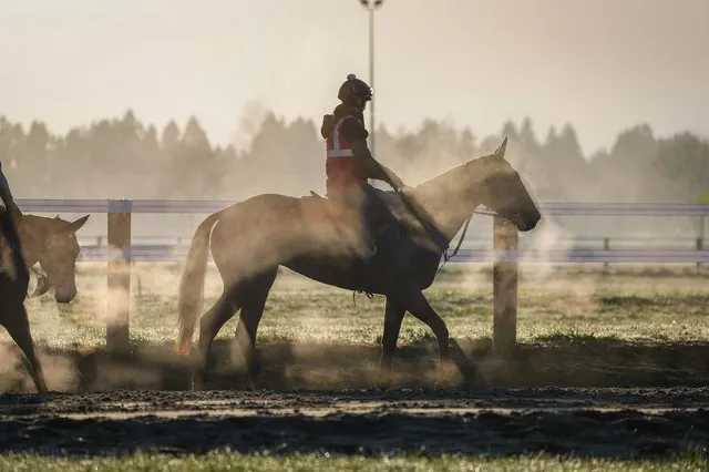 Te Akau NZ Friday Trackwork | News - Te Akau Racing