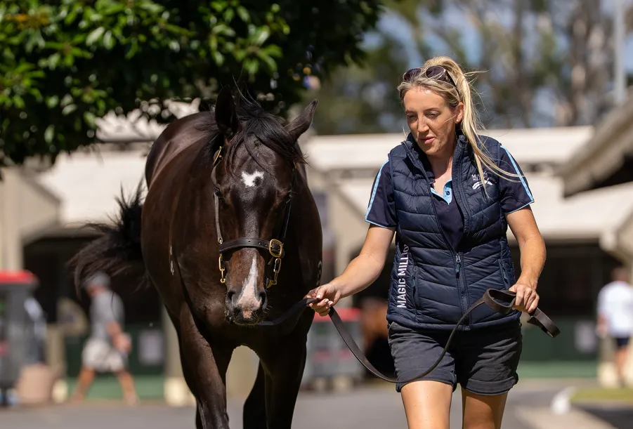 Lot 206 Pinatubo (IRE) - Darook Park (AUS) Bay or Brown Colt ...